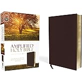 Amplified Holy Bible, Large Print, Bonded Leather, Burgundy: Captures ...
