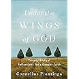 Under the Wings of God: Cornelius Plantinga: 9781540966179: Amazon.com ...