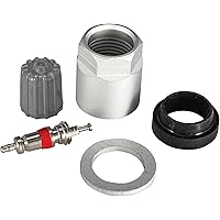 Amazon.com: Dynamic 6-116 TPMS Service Kit (for Lexus, Toyota), 16 Pack ...