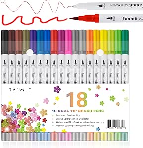 Amazon.com: Dual Brush Pens Art Marker Fine Tip, Colored Fine Point ...