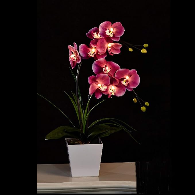 Floristlighting LED Lighted Artificial Orchid Arrangement-Battery ...
