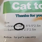 Amazon.com : Babula 2 Piece Cat Toys, Catnip Simulation Plush Fish Toy ...