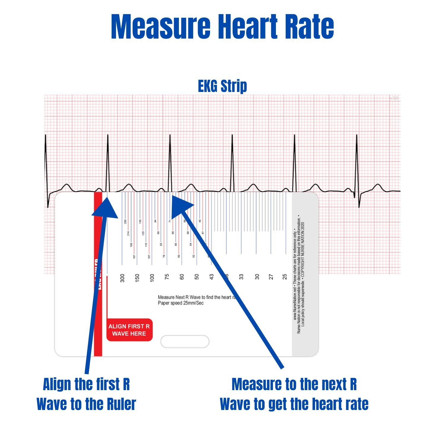 Mua EKG Horizontal Badge 6 Card Set, ECG Telemetry Cards with EKG Ruler ...