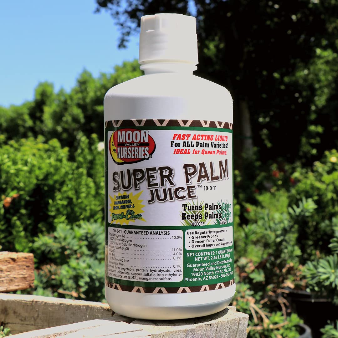 Mua Super Palm Juice - Palm Tree Fertilizer - 1 Quart trên Amazon Mỹ ...