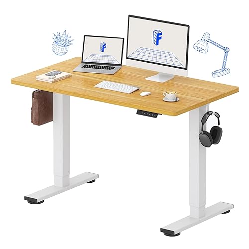 FLEXISPOT Standing Desk Electric Height Adjustable Desk with 48 x 24 ...