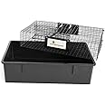 Amazon.com : Rugged Ranch Rat Trap, Live Mouse Catch & Release Cage ...