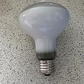 Amazon.com : CTKcom 2-Pack 75W R85 UVA Bulb Pet Heating Lamp Day Light ...