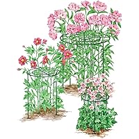 Amazon.com : Gardener's Supply Company Grow Through Plant Support ...