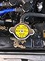 Amazon.com: PT Auto Warehouse R124 - Radiator Cap, 13 PSI: Automotive