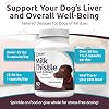 K9 Select Milk Thistle for Dogs, 100mg - 60 Beef Flavored Tablets ...