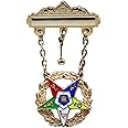 Amazon.com: OES Order Eastern Star Past Matron Masonic Jewel: Brooches ...