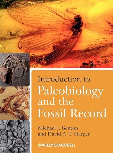 Introduction to Paleobiology and the Fossil Record in Oman | Whizz ...