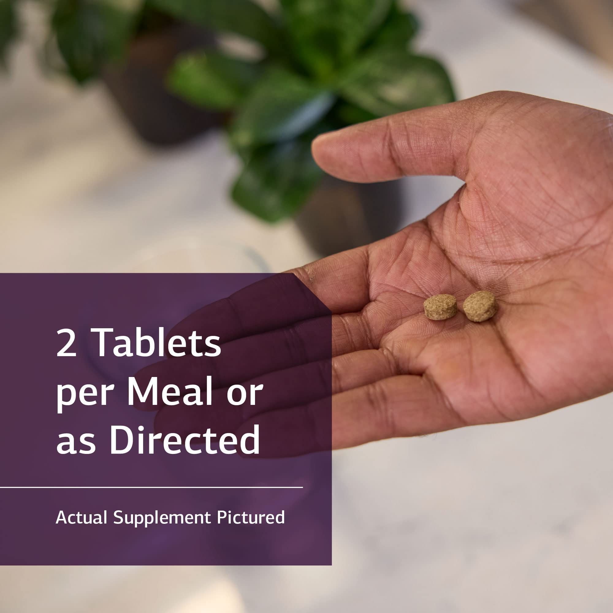 Mua Standard Process Cholacol - Gallbladder Support Supplement - Fat ...