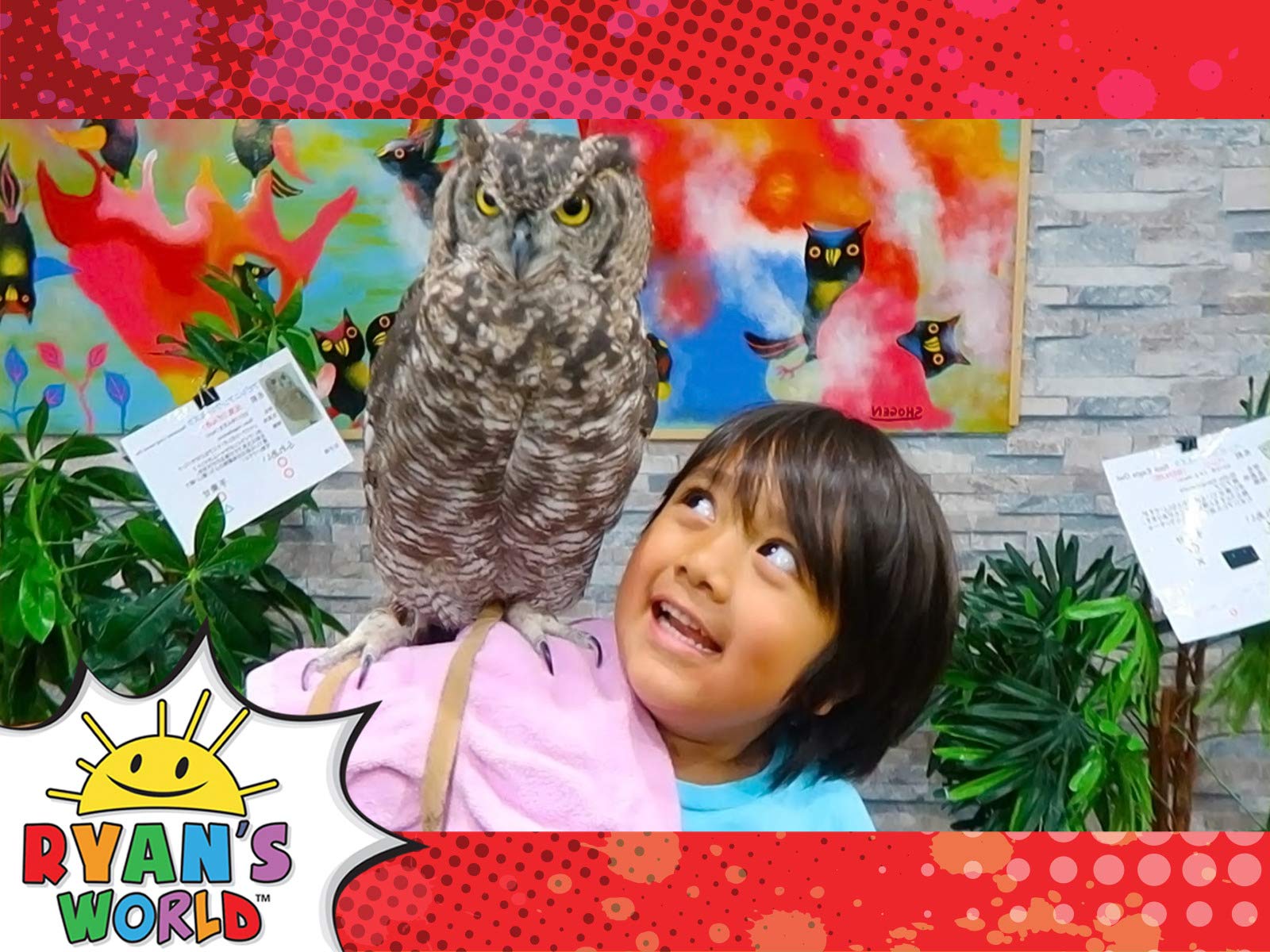 Watch Ryan's World | Prime Video