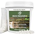 Amazon.com : LMJP Muck Reducer - 5LB Natural Sludge Solution Tablets ...