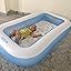 Buy Intex Inflatable Rectangular Pool, Multi Color Online at Low Prices ...