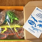 Learning Resources Jumbo Reptiles and Amphibians: Amazon.co.uk: Toys ...