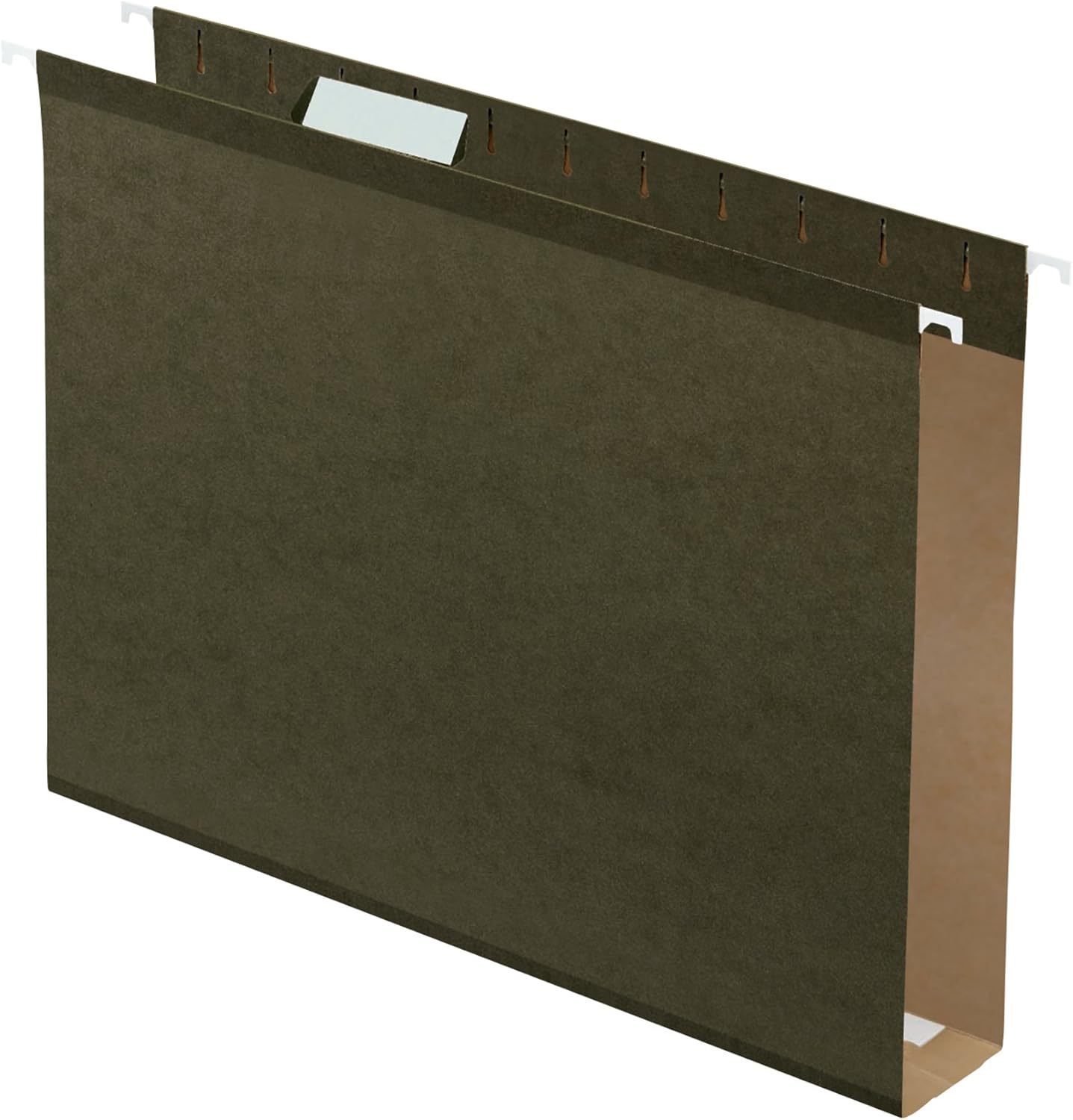 Pendaflex Extra Capacity Reinforced Hanging File Folders, 2", Letter ...