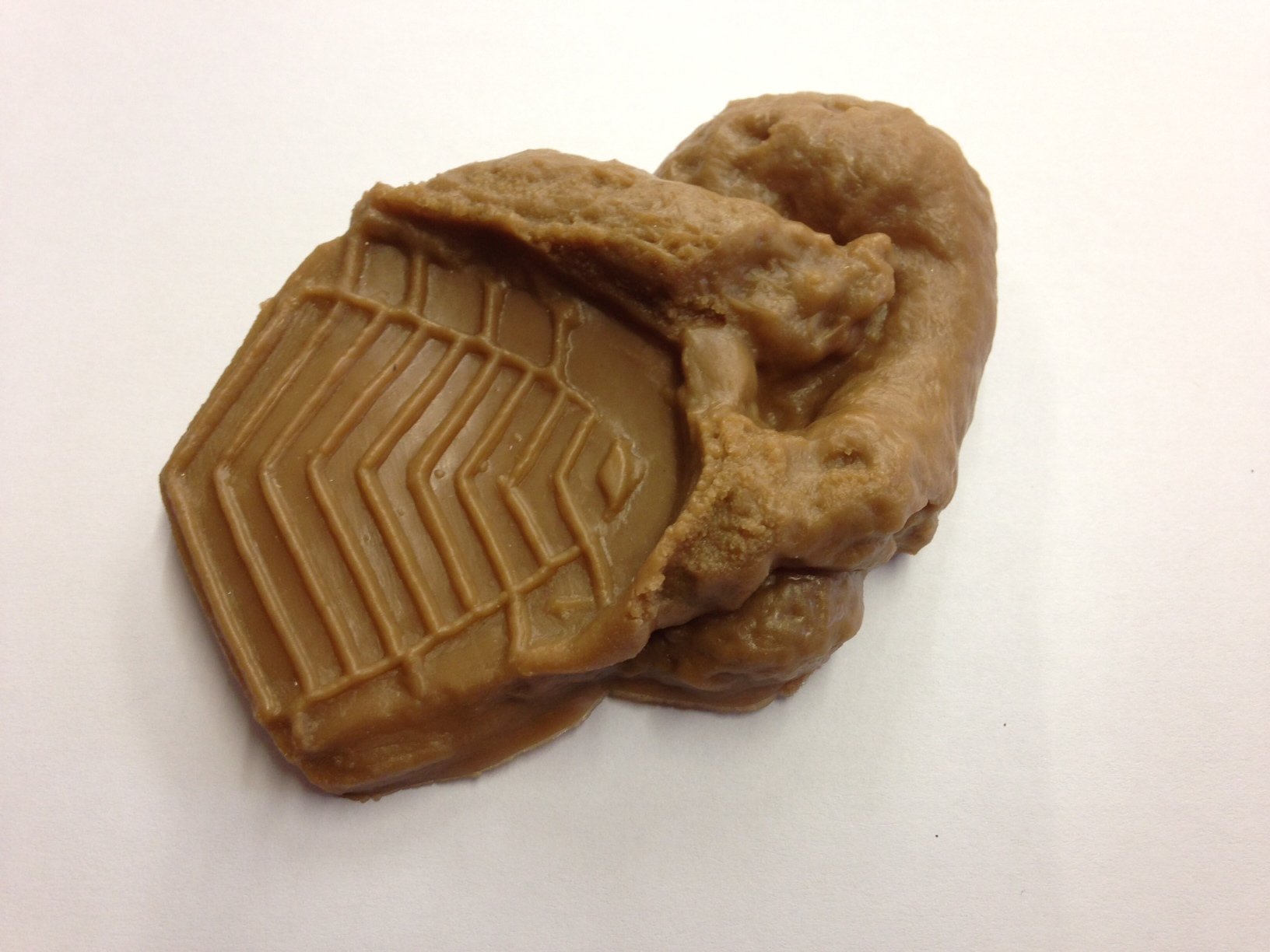 Buy Joke Dog Poo with Footprint ~ Fake Dog Turd/Mess/Poop Online at ...