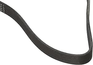 Genuine Hyundai 25212-3C100 Ribbed V-Belt, V Belts - Amazon Canada
