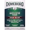 Amazon.com: Domeboro Astringent Solution Powder Packets - 12 packets ...