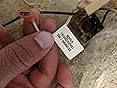 Amazon.com: GE WB18T10338 Genuine OEM Spark Ignition Switch and Harness ...