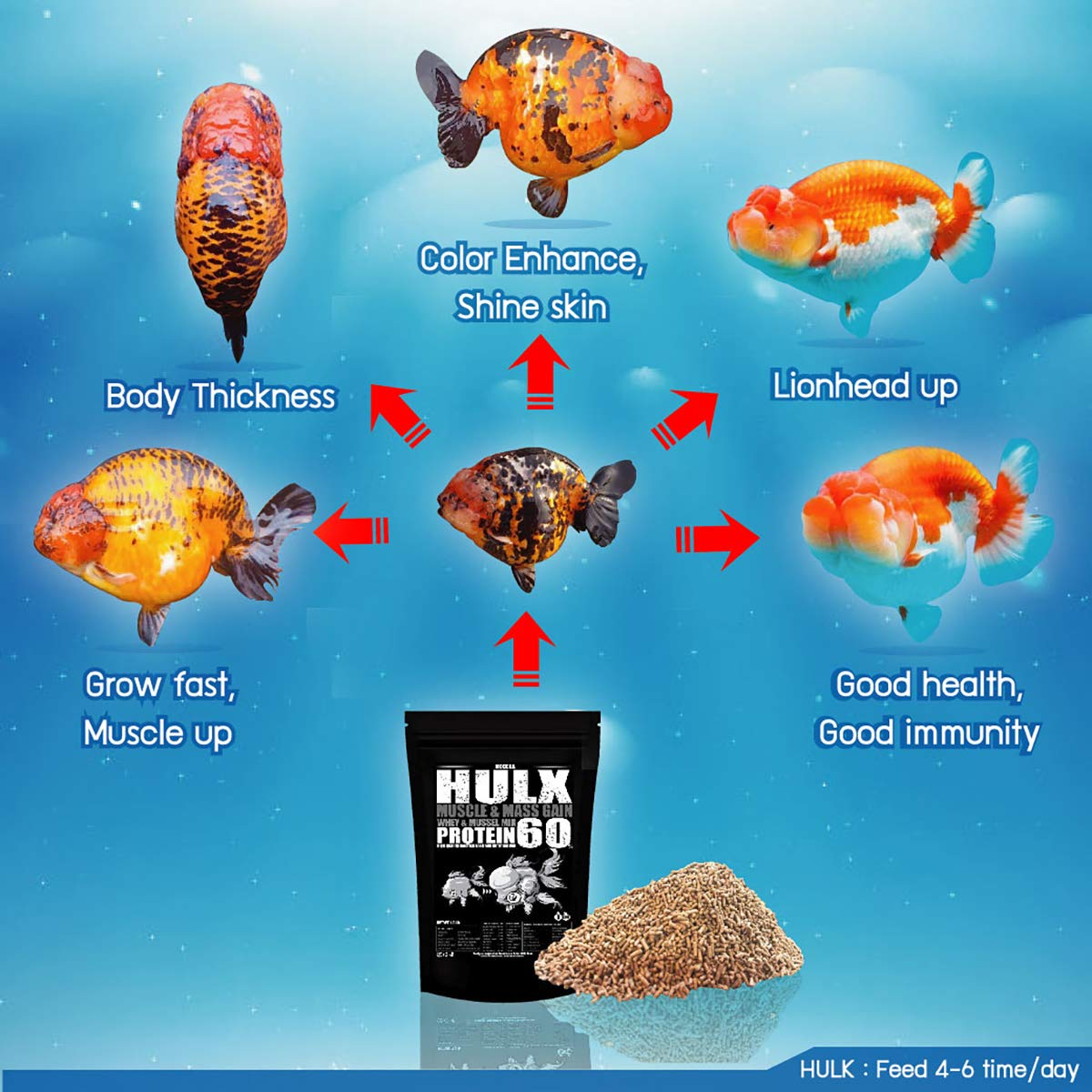HULX Goldfish Food Sinking Pellets For Big Muscle & Mass Weight Gain ...