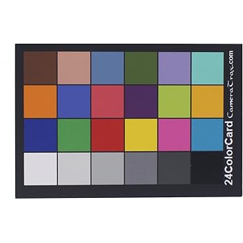 Amazon.com : DGK Color Tools DKK 5" x 7" Set of 2 White Balance and ...
