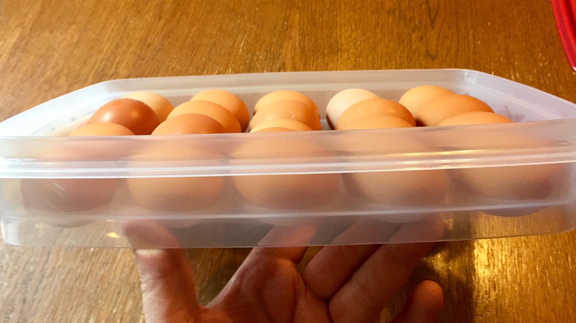 $6/mo - Finance Rubbermaid Specialty Bread Keeper Food Storage ...