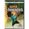 Amazon.com: NATURE: Super Hummingbirds DVD : n/a, n/a: Movies & TV