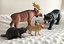 Amazon.com: Learning Resources Jumbo Forest Animals - 5 Pieces, Ages 3 ...
