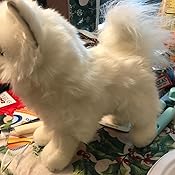 Amazon.com: Douglas Phoebe Pomsky Plush Stuffed Animal: Toys & Games