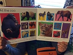 My Big Animal Book (My Big Board Books): Roger Priddy: 9780312511074 ...