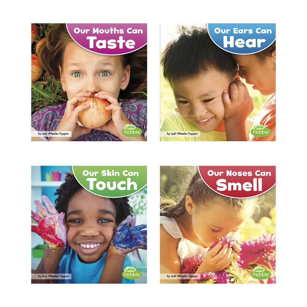 32 Delightful Five Senses Books for Kids - Teaching Expertise
