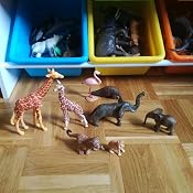 Schleich- Colección Wild Life Set de Figuras de Animales, Guepardo ...