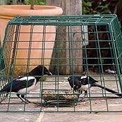 C J Wildlife Ground Guard Large Mesh Green: Amazon.co.uk: Pet Supplies