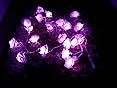 Amazon.com: Fairy String Lights Red Rose Flower 20 LED Battery Operated ...
