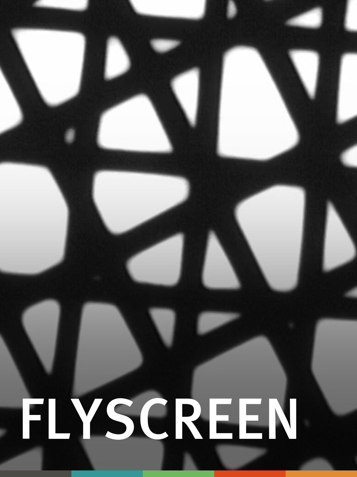 Watch Flyscreen | Prime Video