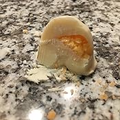 Amazon.com : Universal Studios Wizarding World of Harry Potter Park ...