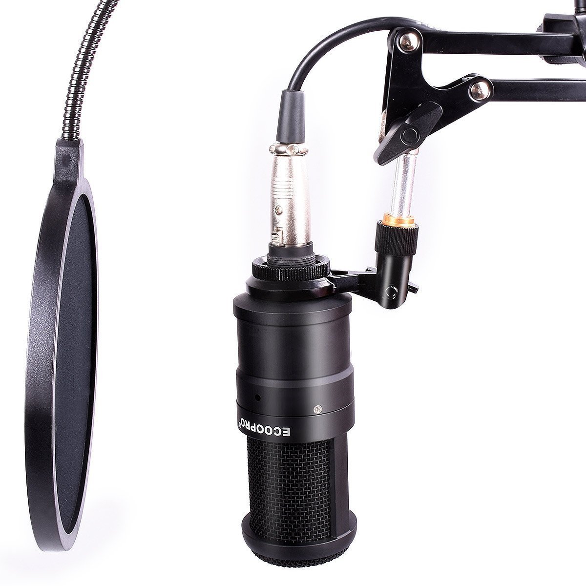 10 Best Microphones for Recording 2020 | Instrument Top