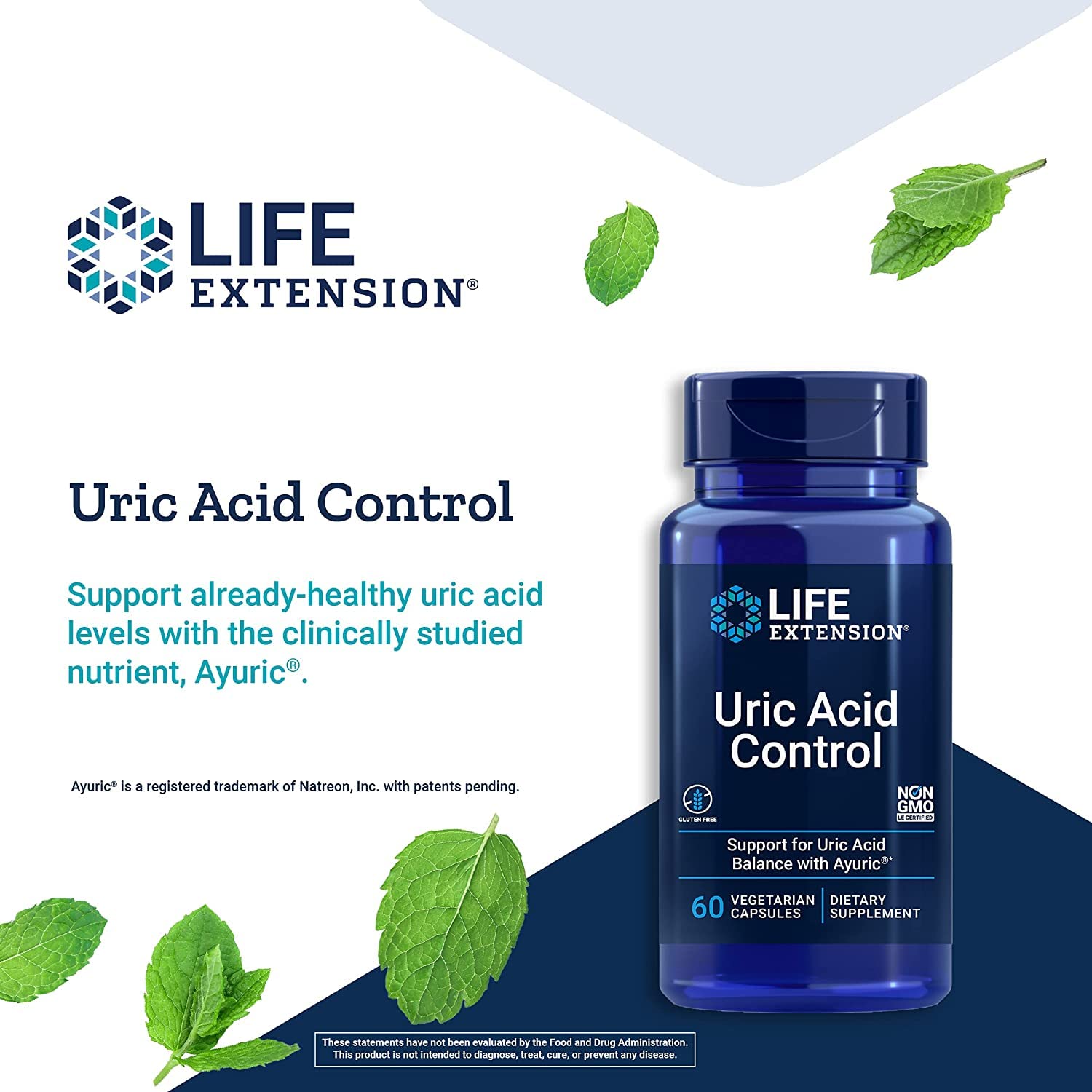 Mua Uric Acid Control - Ayuric Terminalia Bellerica Fruit Extract ...