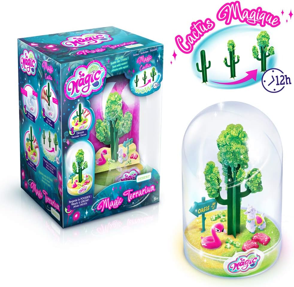 Canal Toys MSG 010 So Magic Large Terrarium Desert – BigaMart