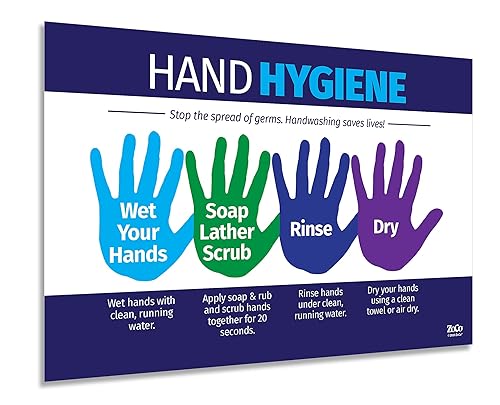 ZOCO - Hand Hygiene Poster - Laminated, 12 x 18 inches - Kids and ...