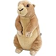 Amazon.com: Wild Republic Prairie Dog Plush, Stuffed Animal, Plush Toy ...