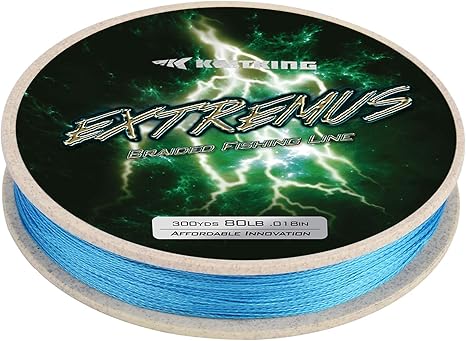 Best Braided Fishing Line (Updated 2025) | Top 20 Picks 🎣