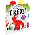 Follow That T. rex!: Editors of Silver Dolphin Books: 9781645172284 ...