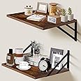 Amazon.com: Tectocker-DOU 2 Pc Deep Floating Shelves ; 12 Inch Deep Wall Mounted Hanging Shelves ...