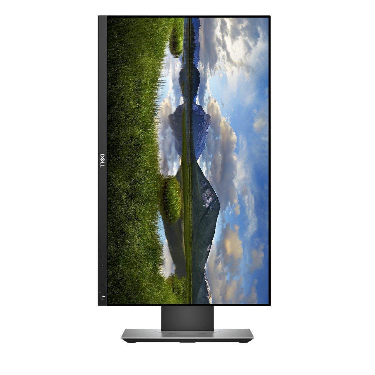 Mua Dell P2419H 24 Inch LED-Backlit, Anti-Glare, 3H Hard Coating IPS ...
