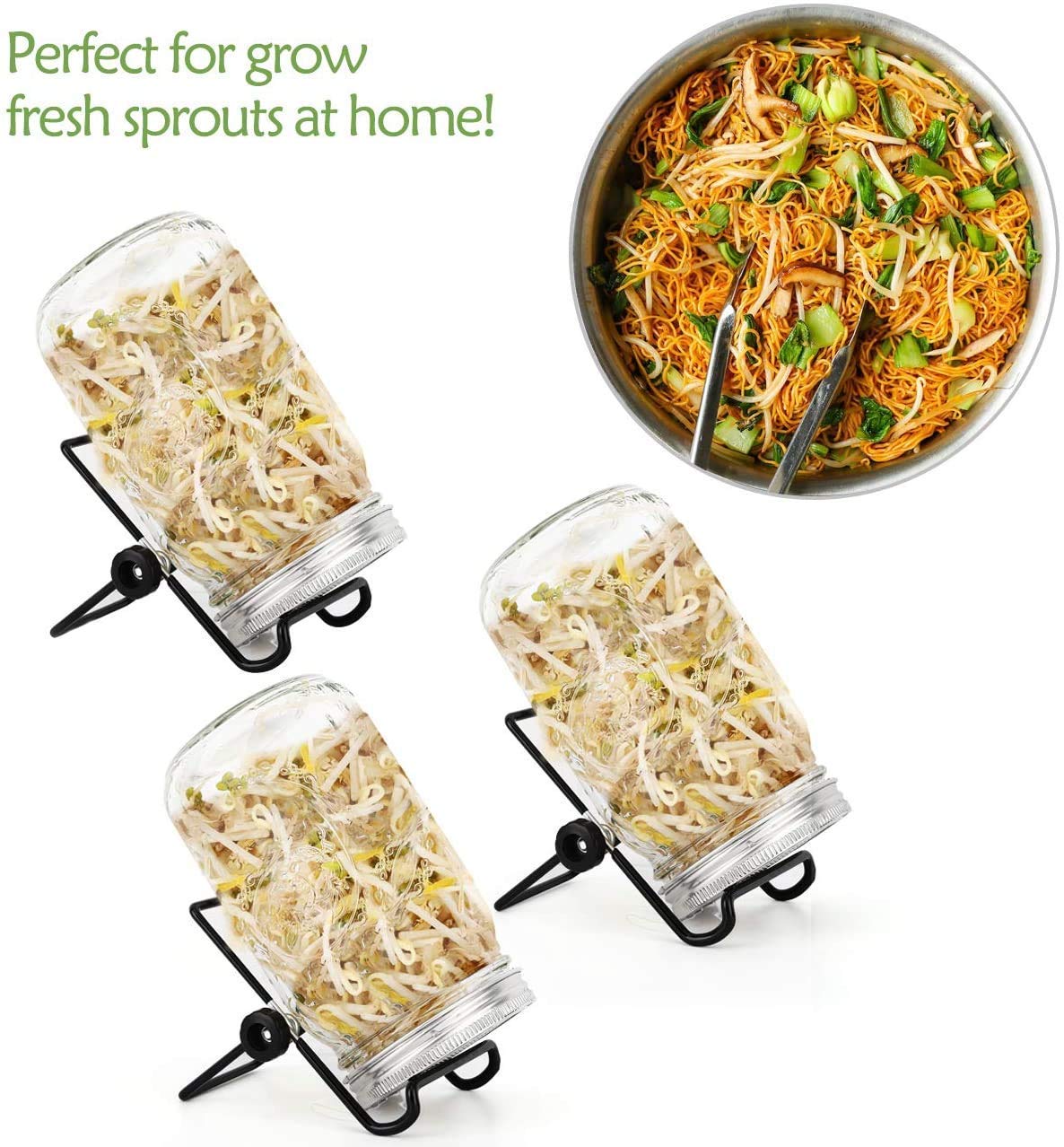 Mua Seed Sprouting Jar Kit, 1- Pack Seed Starter Tray, 1 Sprouter Mason ...