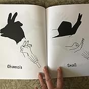 Fun Hand Shadows For Kids: 30 + Hand Shadow Puppets With Easy To Follow ...